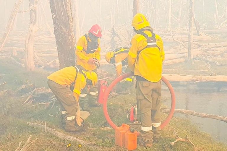 Unidad Provincial de manejo del fuego: Apagaron un incendio forestal en ...
